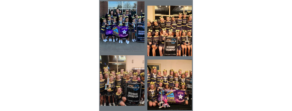 Tri-City Wolverines > Home